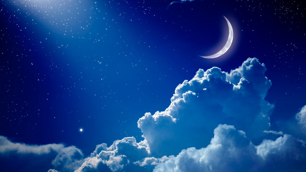 Why Do We Dream? The Most Surprising and Satisfying Explanations of Dr